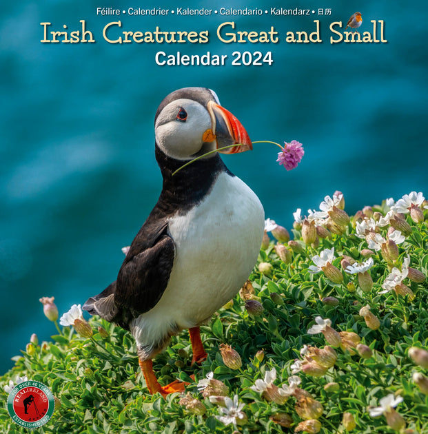 All Calendars – Tagged "geese"– Irish Calendars